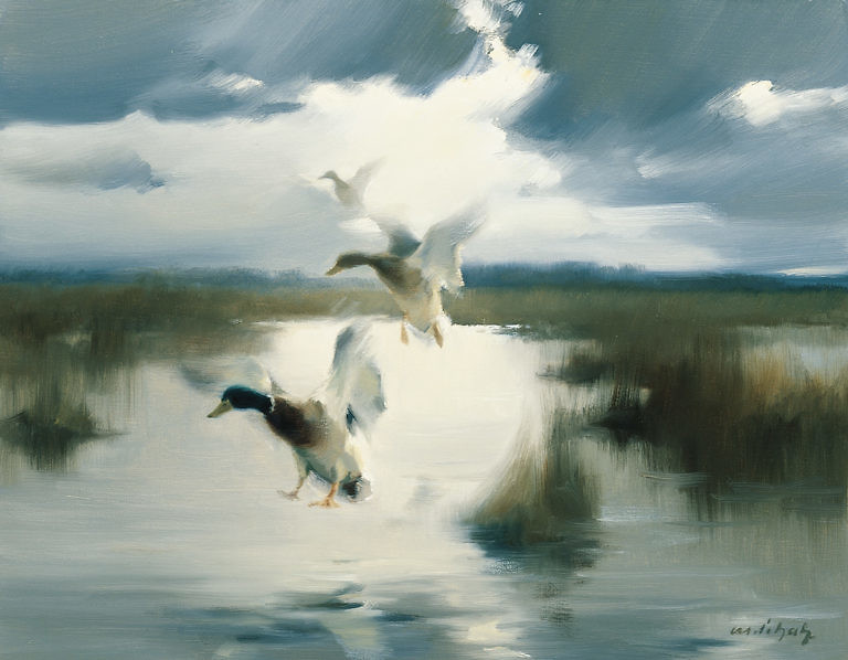 Evolution of a Duck Hunter - Gray's Sporting Journal
