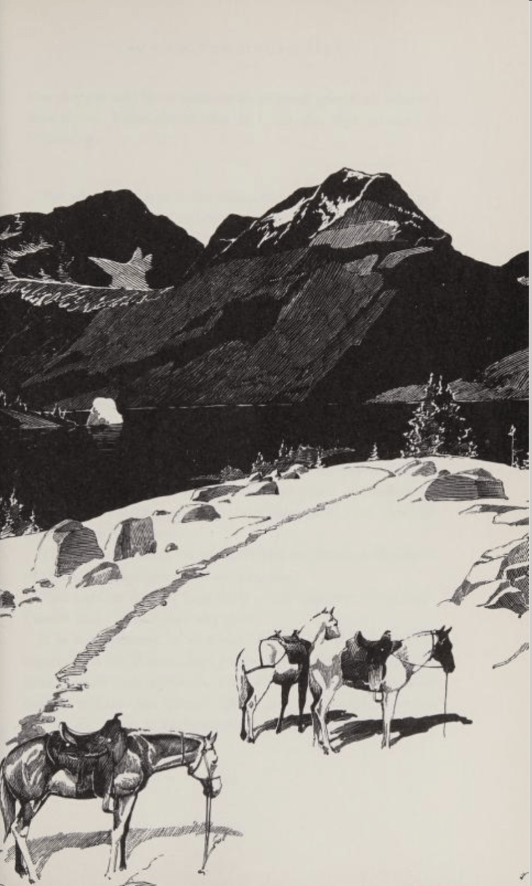 Francis Lee Jaques in Black & White: Part II - Gray's Sporting Journal