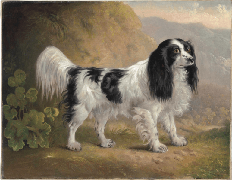 Stubbs & Gilpin – This Time, on Dogs - Gray's Sporting Journal