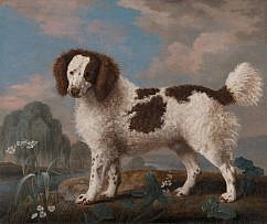 Stubbs & Gilpin – This Time, on Dogs - Gray's Sporting Journal